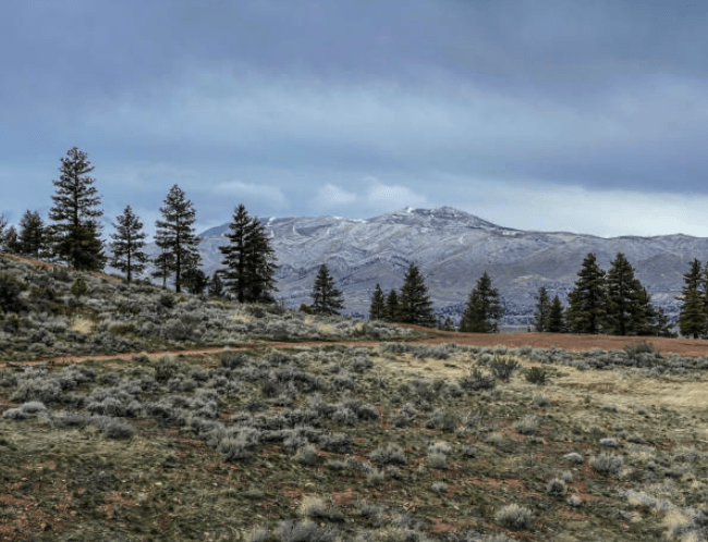 How To Find The Best Land For Your Manufactured Home